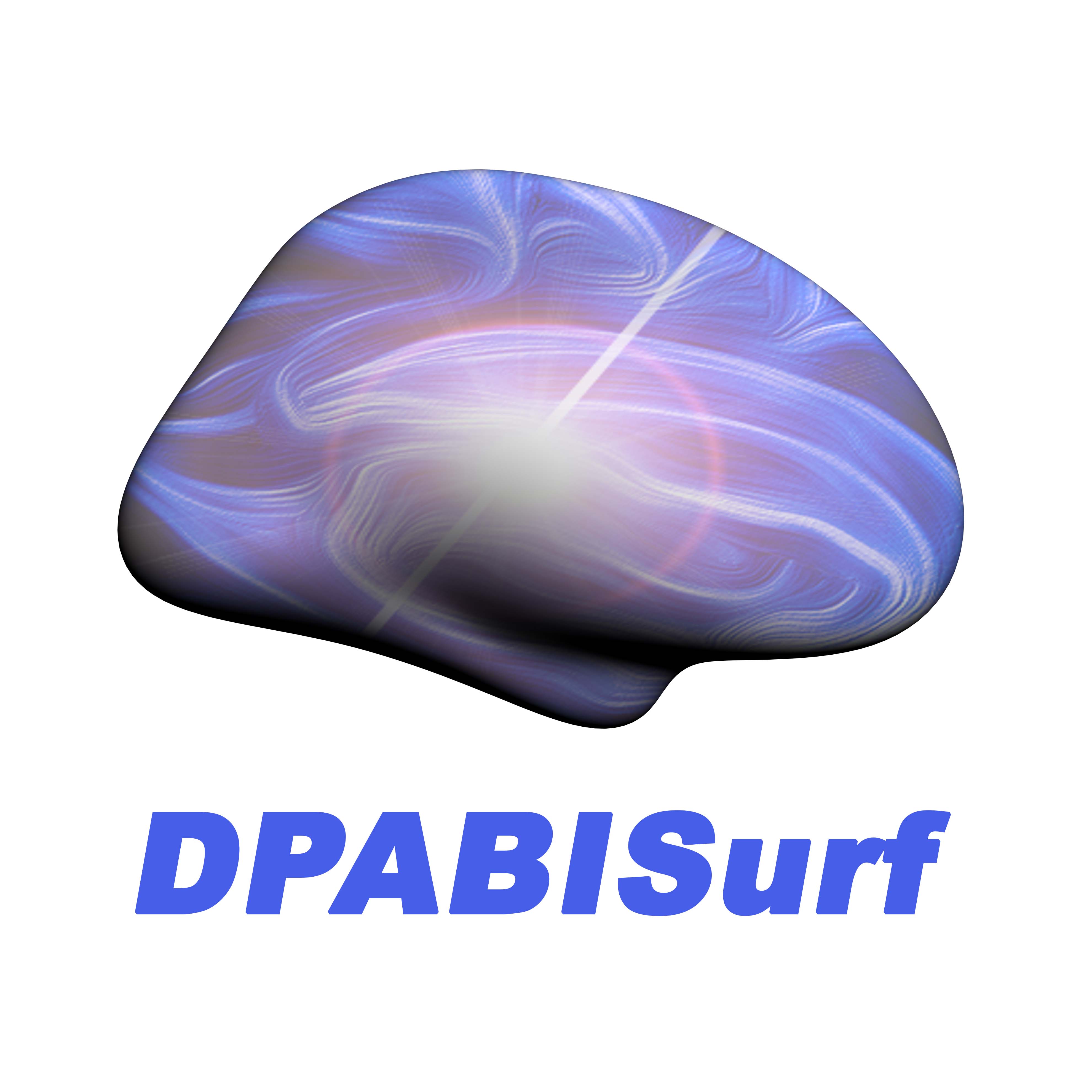 DPABINet Brain Network online Training Camp | DPABI Training Camp